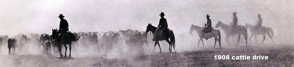 Old West Cattle Drives